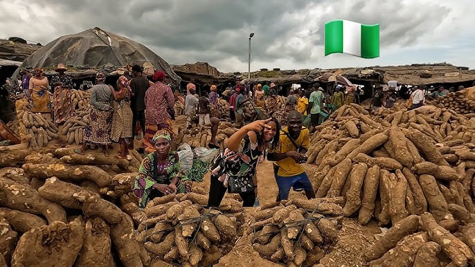 Wholesale Yam Markets in Nigeria: Top Locations for Bulk Purchases ...